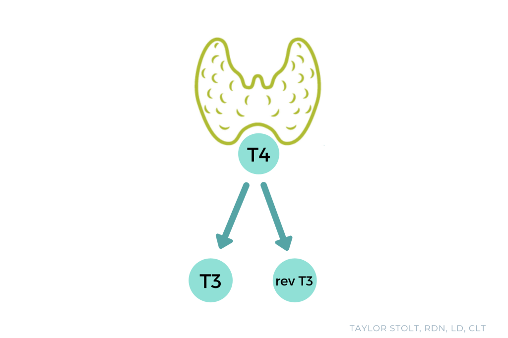 Thyroid Issues? These are the Ten Labs You Need to Run. - AUTOIMMUNE ...