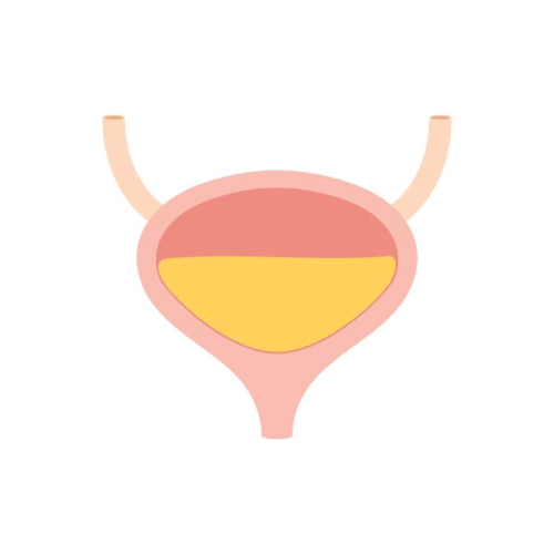 Interstitial Cystitis (IC) - AUTOIMMUNE SISTERS